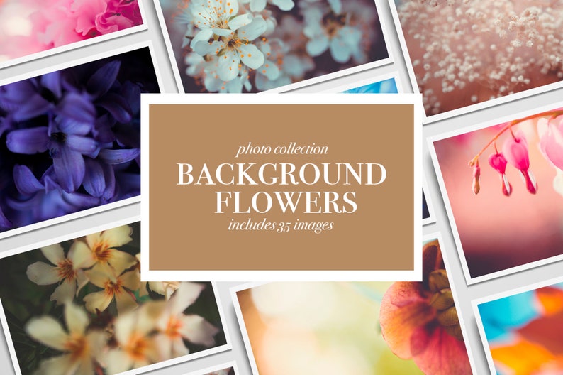 Photo Collection Background Flowers, Flower Photos, Abstract Photos ...