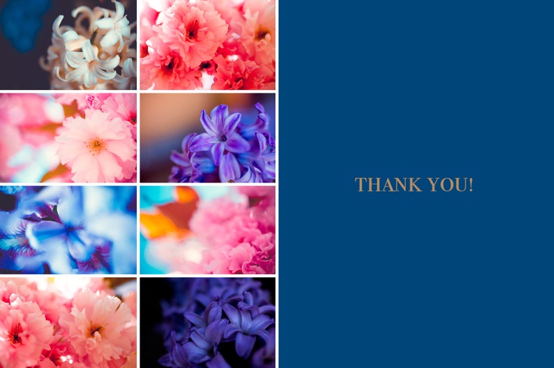Photo Collection Background Flowers, Flower Photos, Abstract Photos ...