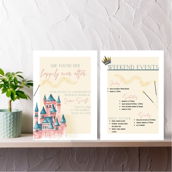 Princess Diaries Theme Party - Etsy