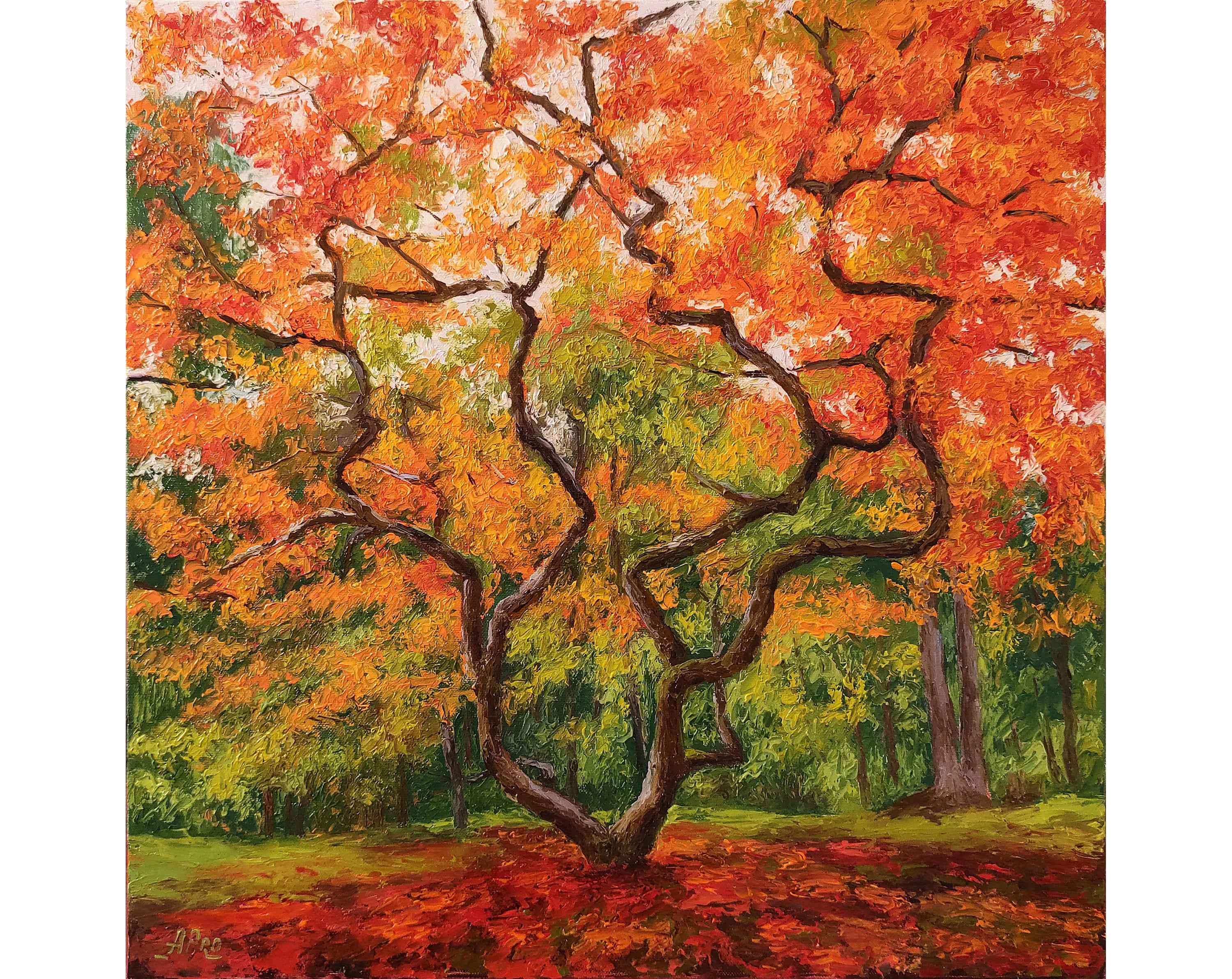 Maple Tree Painting Original Art Landscape Oil Painting Red Maple Tree ...