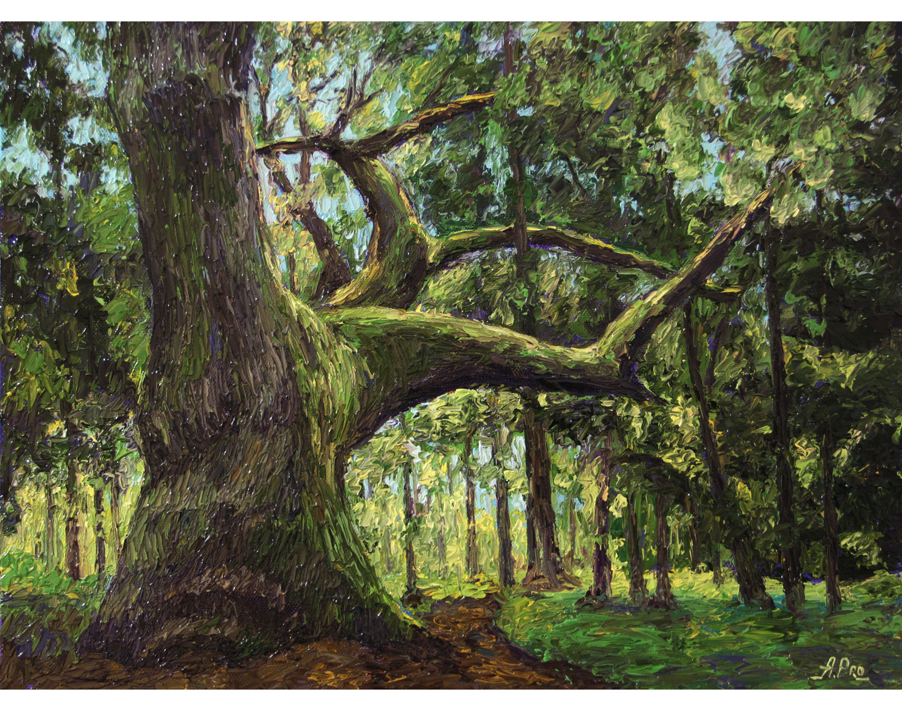Oak Tree Painting Tree Original Art Oak Oil Painting Canvas Etsy Oak Tree Painting Tree Original Art Oak Oil Painting Canvas Etsy