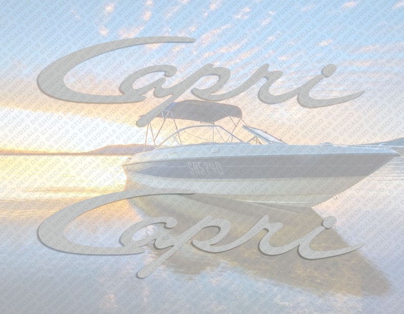 Bayliner Capri Boat Logo Silver Decals Set of 2 X 7 - Etsy
