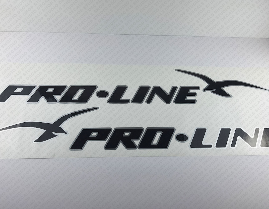 Pro Line Boat Logo Silver Decal Set of 2 X 40" - Etsy