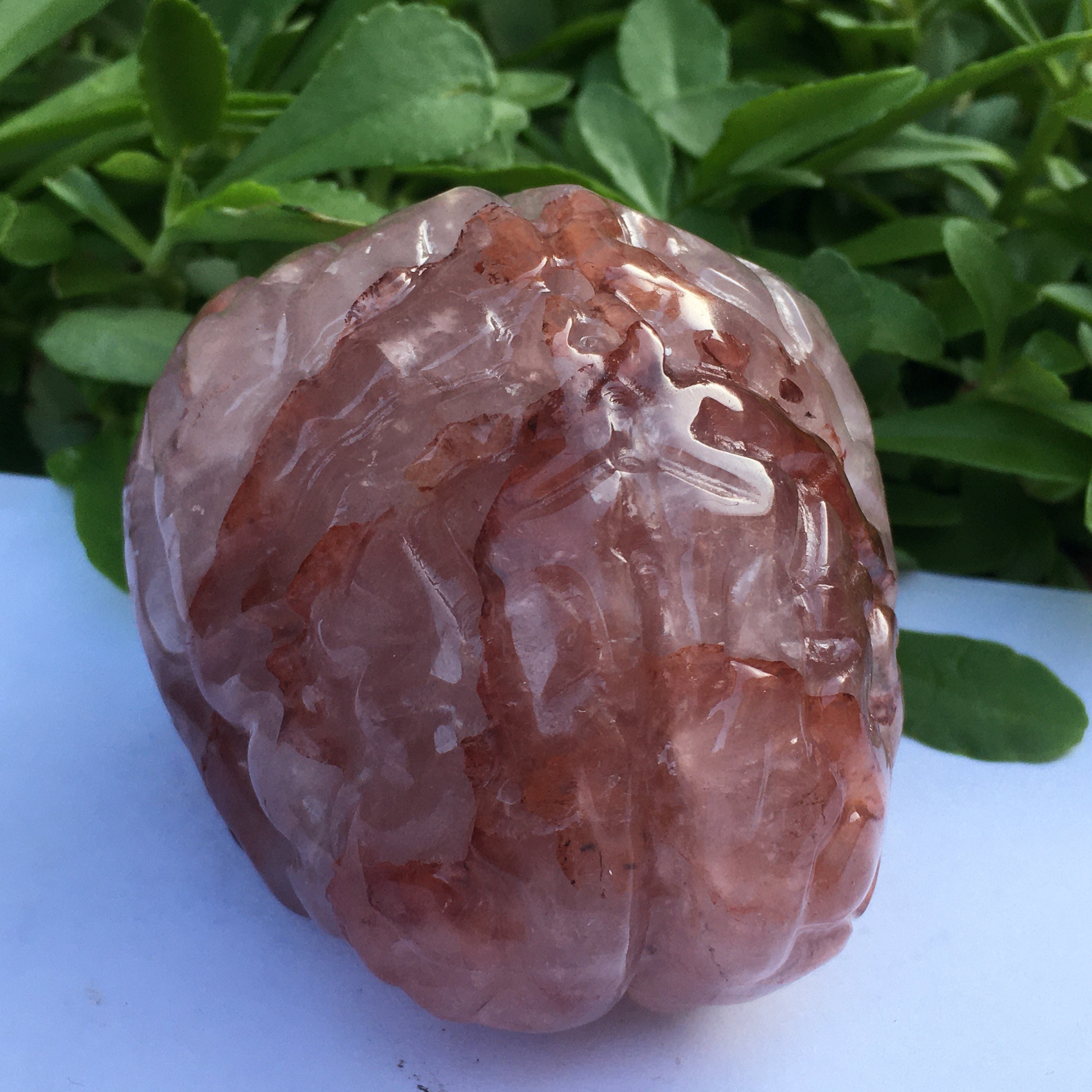 Natural Red Stone Quartz Crystal Hand Carved Brain Shape - Etsy