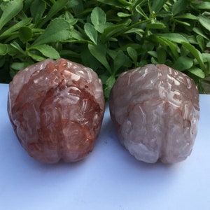 Natural Red Stone Quartz Crystal Hand Carved Brain Shape - Etsy