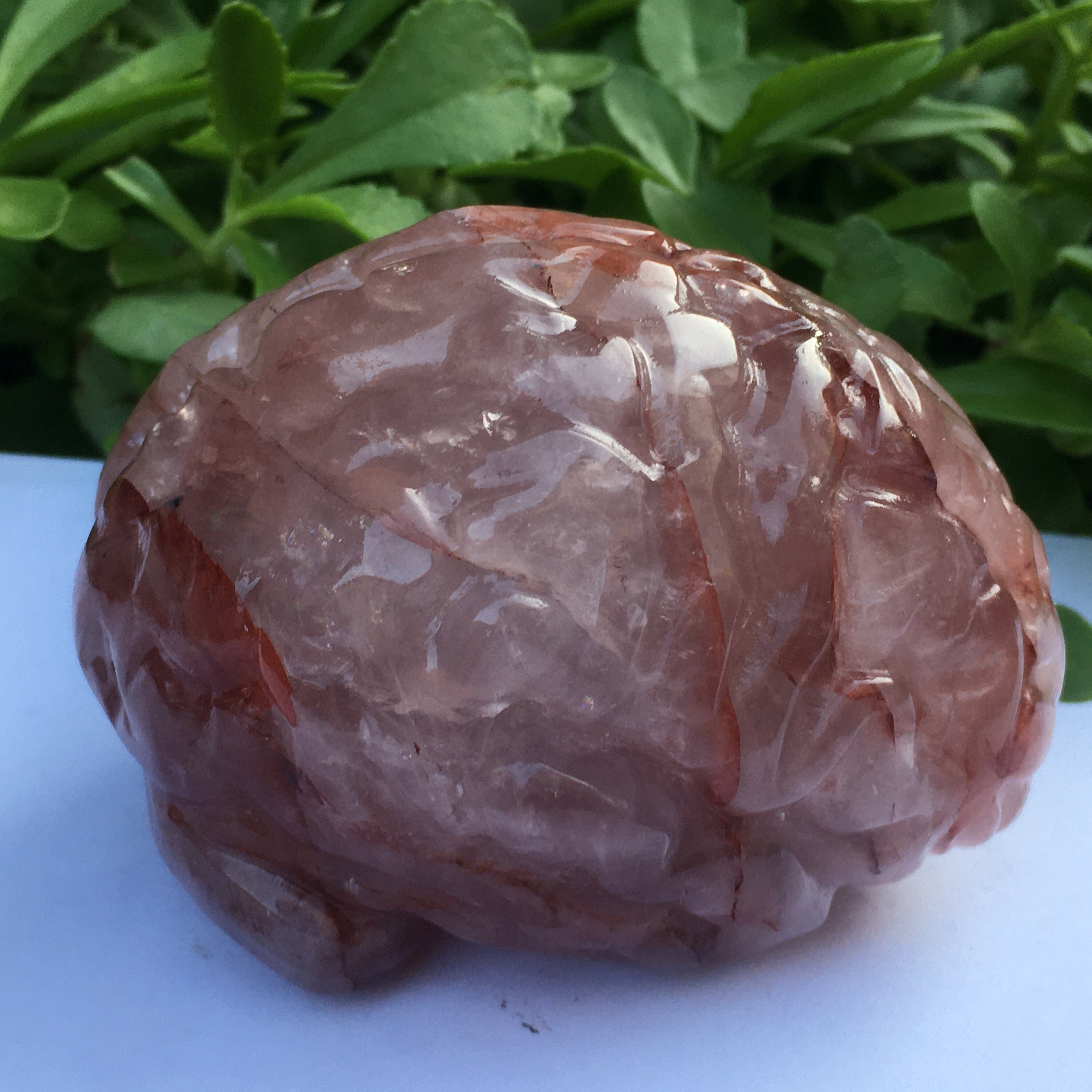 Natural Red Stone Quartz Crystal Hand Carved Brain Shape - Etsy