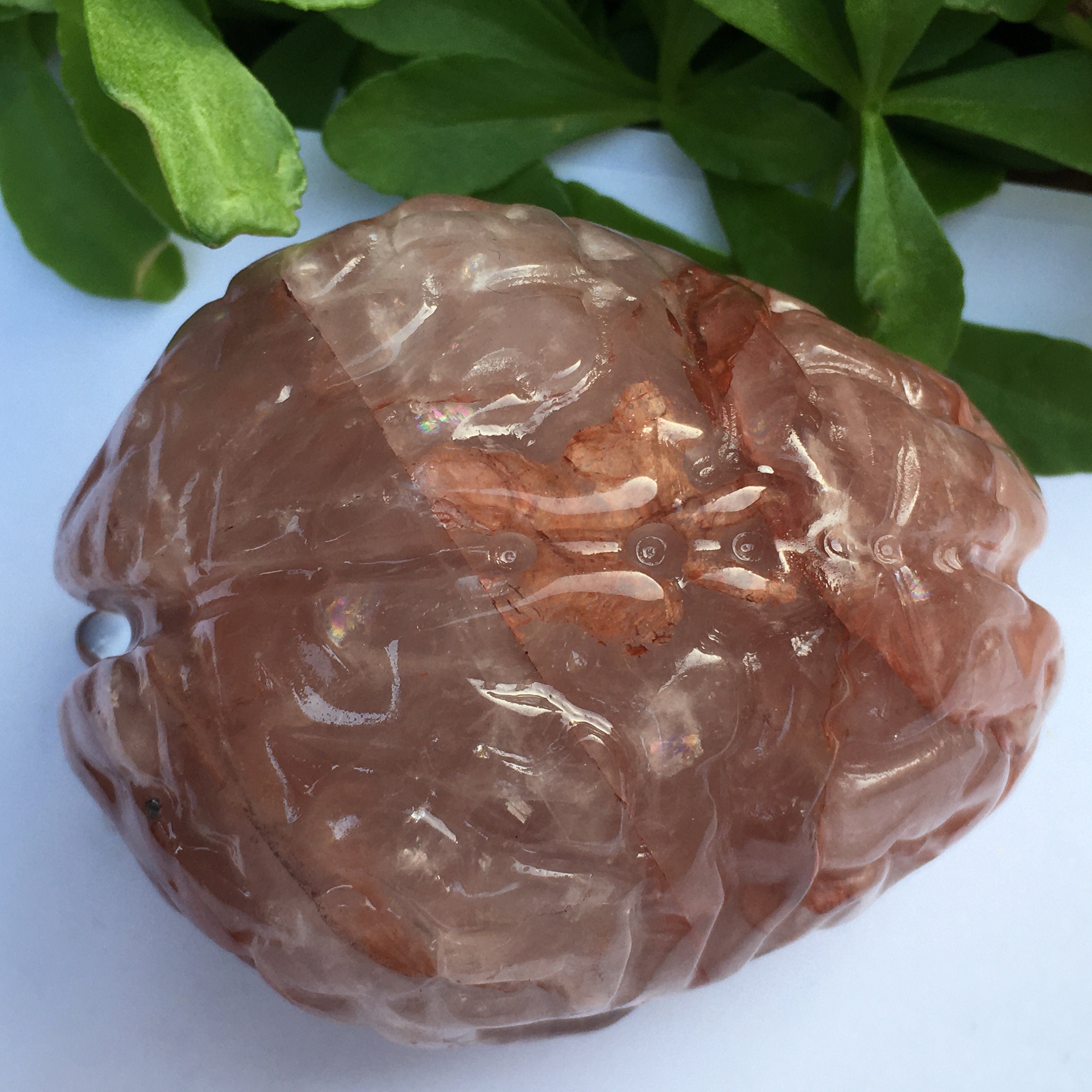 Natural Red Stone Quartz Crystal Hand Carved Brain Shape - Etsy