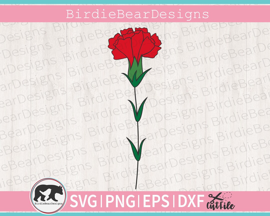Carnation Svg, Birth Month Flower Svg, Carnation Flower Svg, January ...