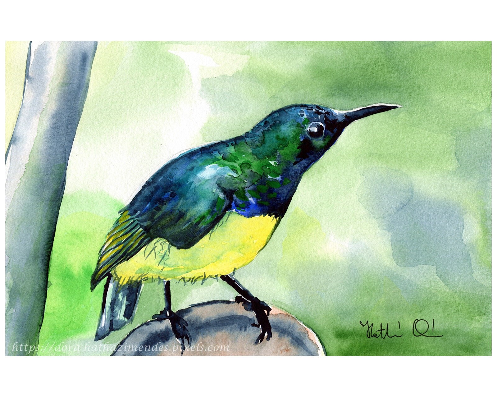 Painting Art & Collectibles Watercolor Little Birds Sunbirds Bird Art ...