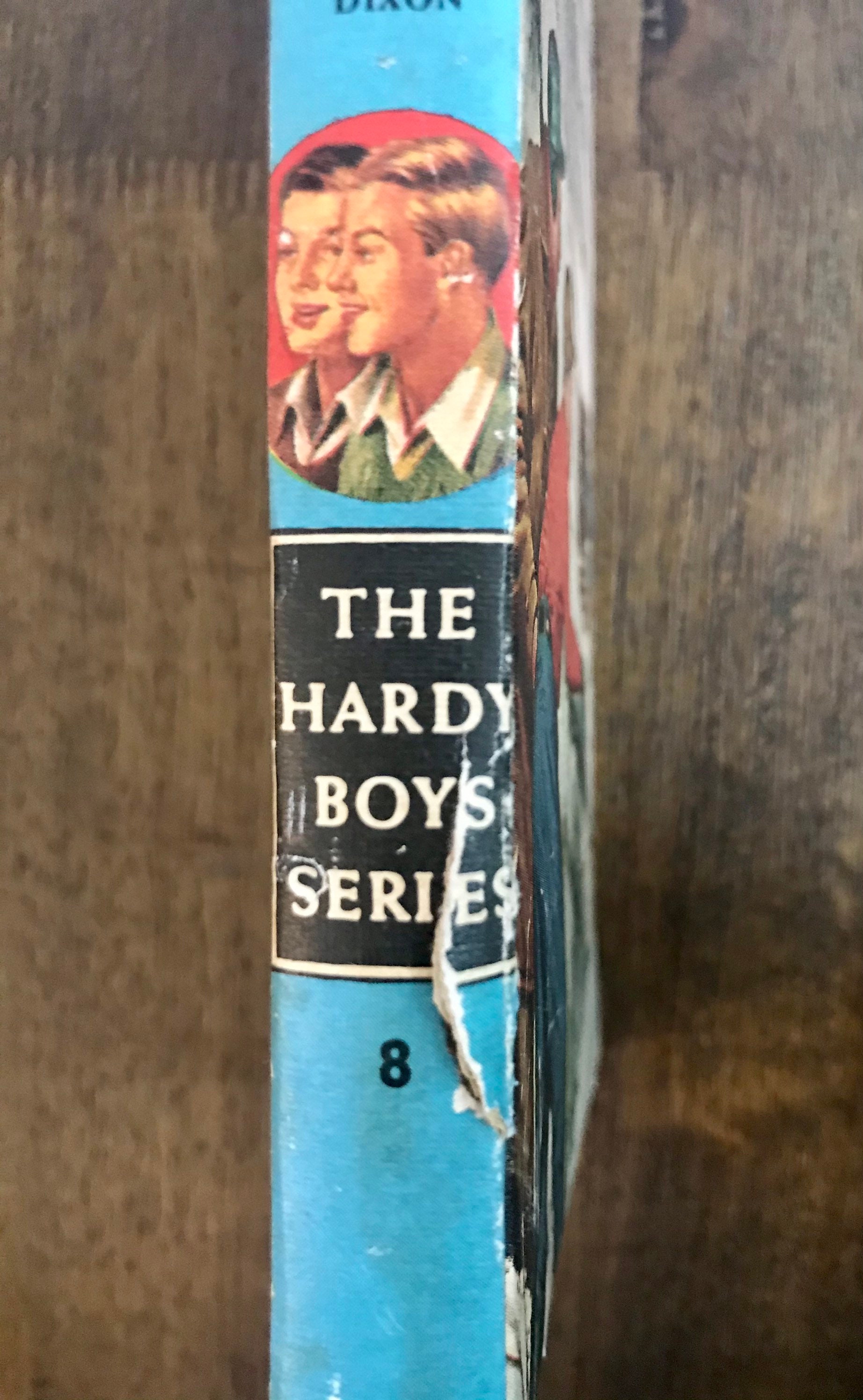 The Hardy Boys Books - Etsy