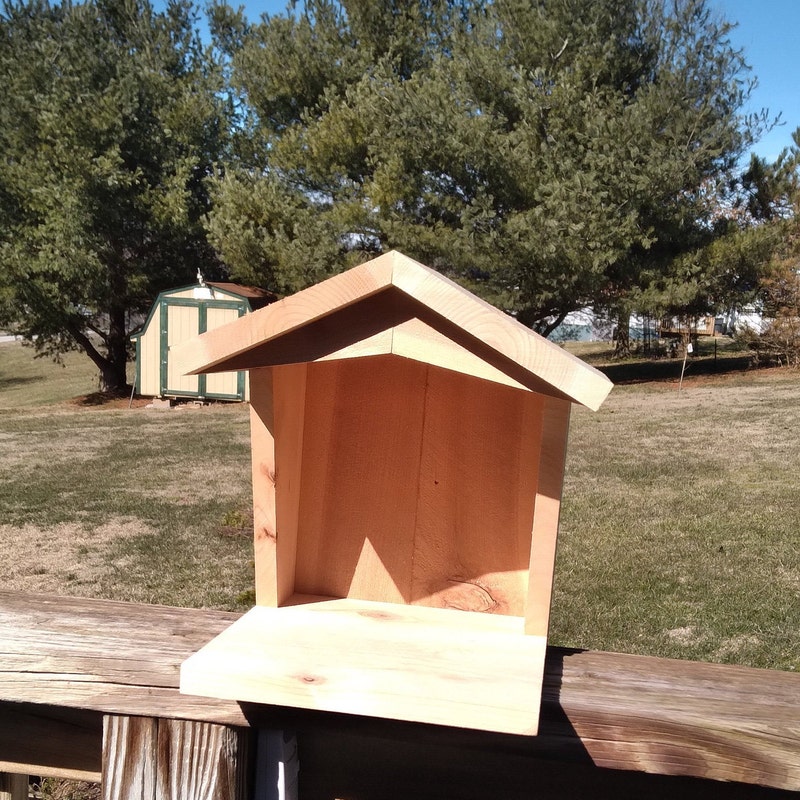 Robin Bird House - Etsy