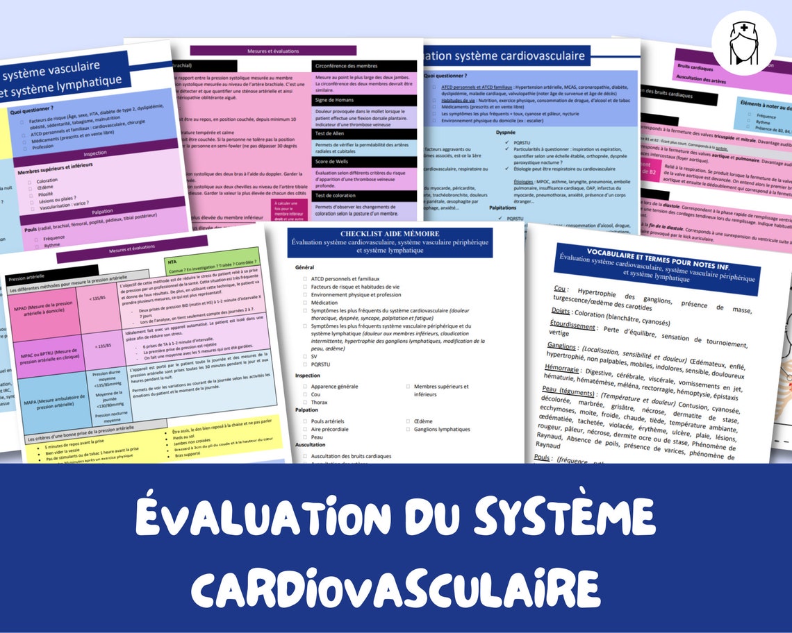 Study Sheet Cardiovascular System Assessment Nursing Nursing - Etsy