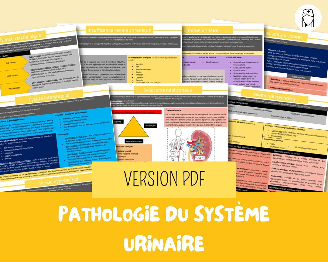 PDF Urinary System Study Sheets Nursing, Nursing Study, Nursing Science ...