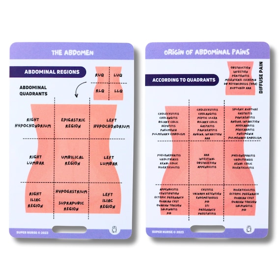 Abdominopelvic Quadrants And Regions