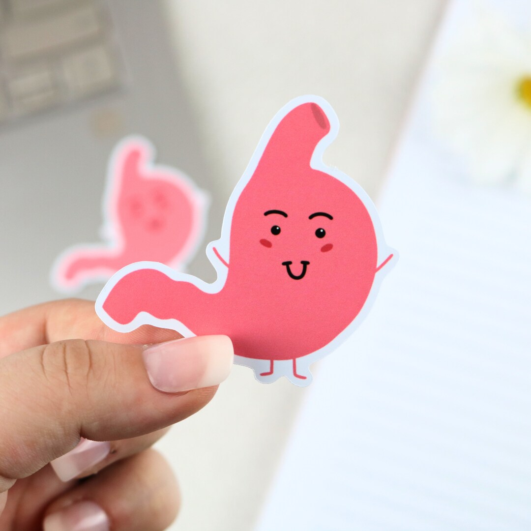 Stomach Sticker nursing Sticker, Medical Sticker, Nurse Gift, Nurse ...
