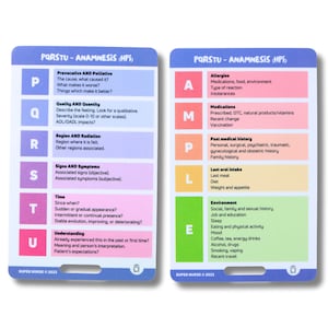 EN PQRSTU-AMPLE Anamnesis, Nursing Reference Cards, Nursing Badge Cards ...