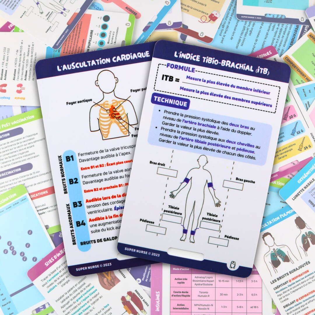 FR Cardiac Auscultation and ITB Nursing Reference Cards, Badge Card ...