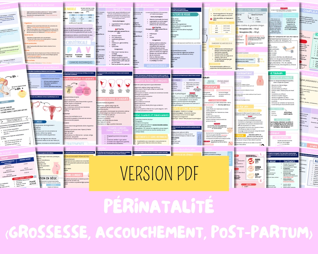 PDF Perinatal Study Sheet, Pregnancy, Childbirth, Postpartum, Nursing ...