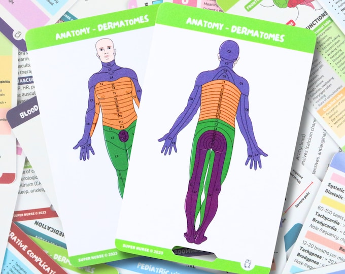 Dermatome Badge Pocket Card Vertical for Nurse Paramedic EMT for ID ...