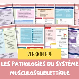 Fiches D'étude Du Système Musculosquelettique soins - Etsy