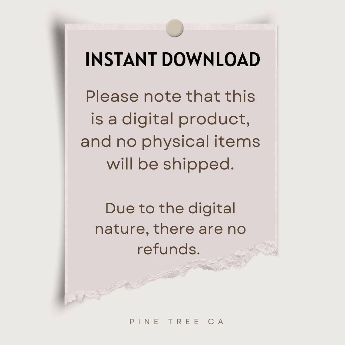 Winter Botanicals PNG , Cardinal Bird PNG - Botanical Christmas ...