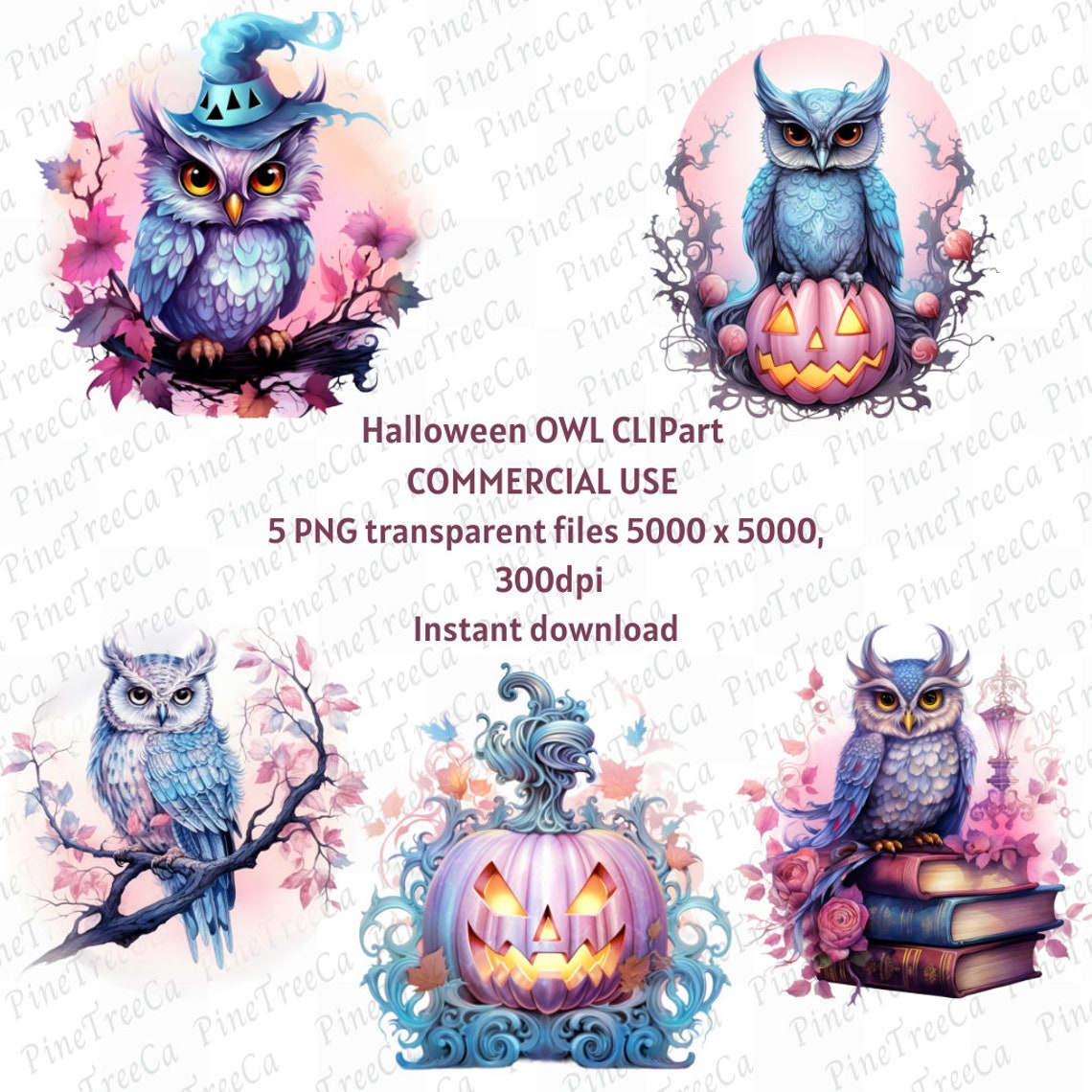 Owl PNG, Pastel Owl PNG, Pumpkin Png, Halloween Png,5 Halloween Clipart ...
