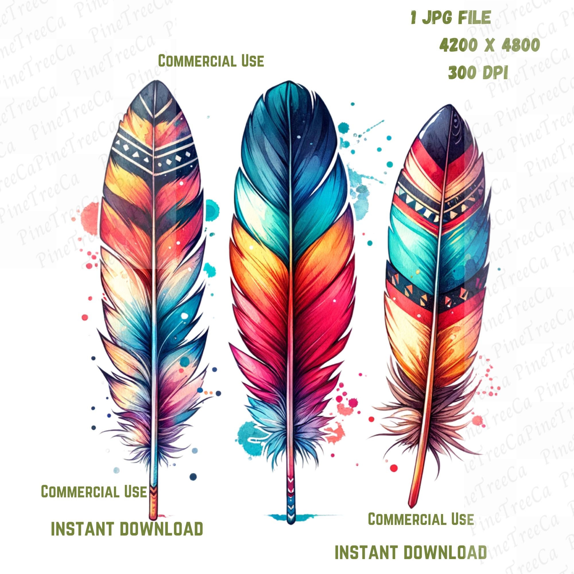 Watercolor Feather 1 JPG High Resolution 300 Dpi, Instant Download ...