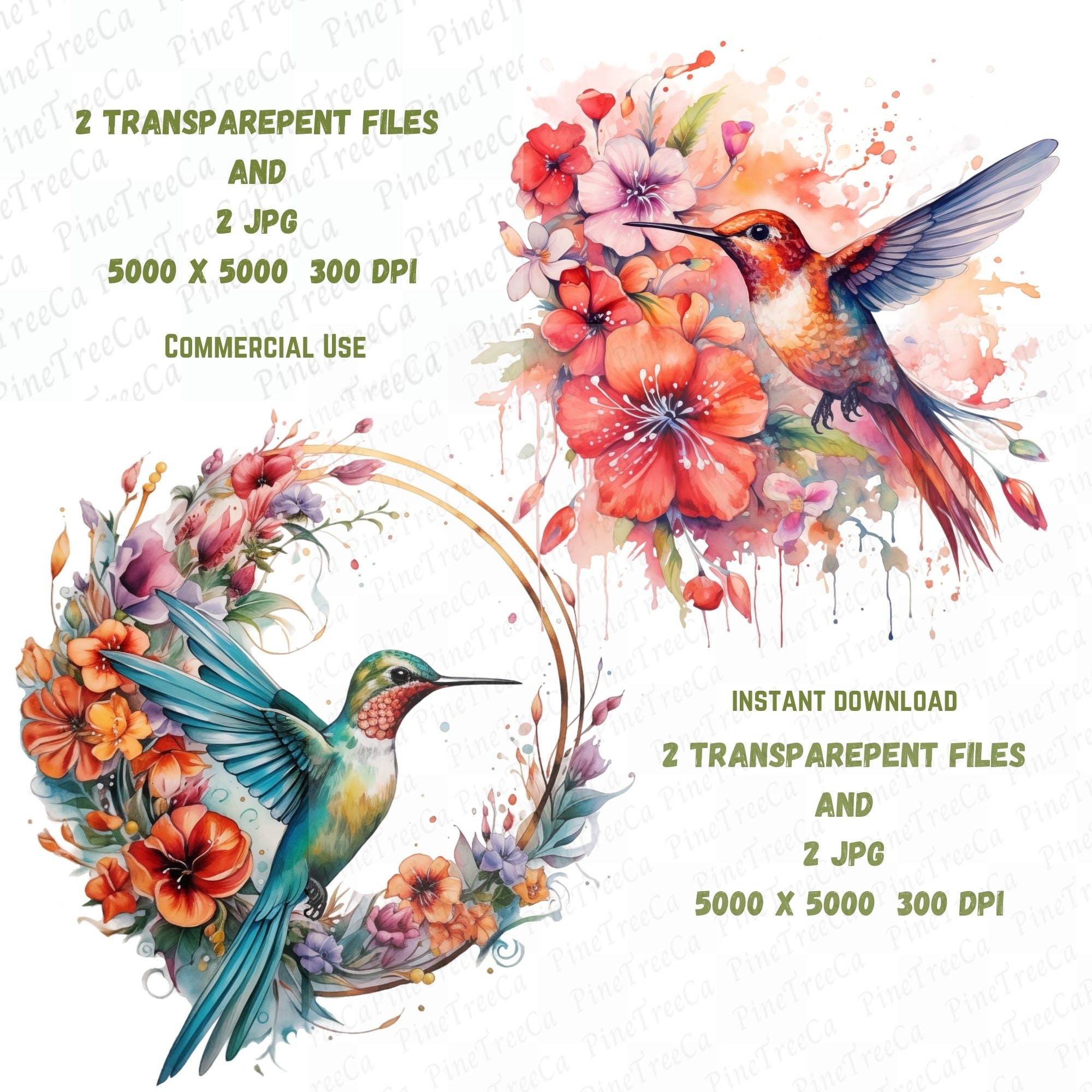 Watercolor Hummingbird 2 Transparent PNG and 2 JPG Files Clipart ...