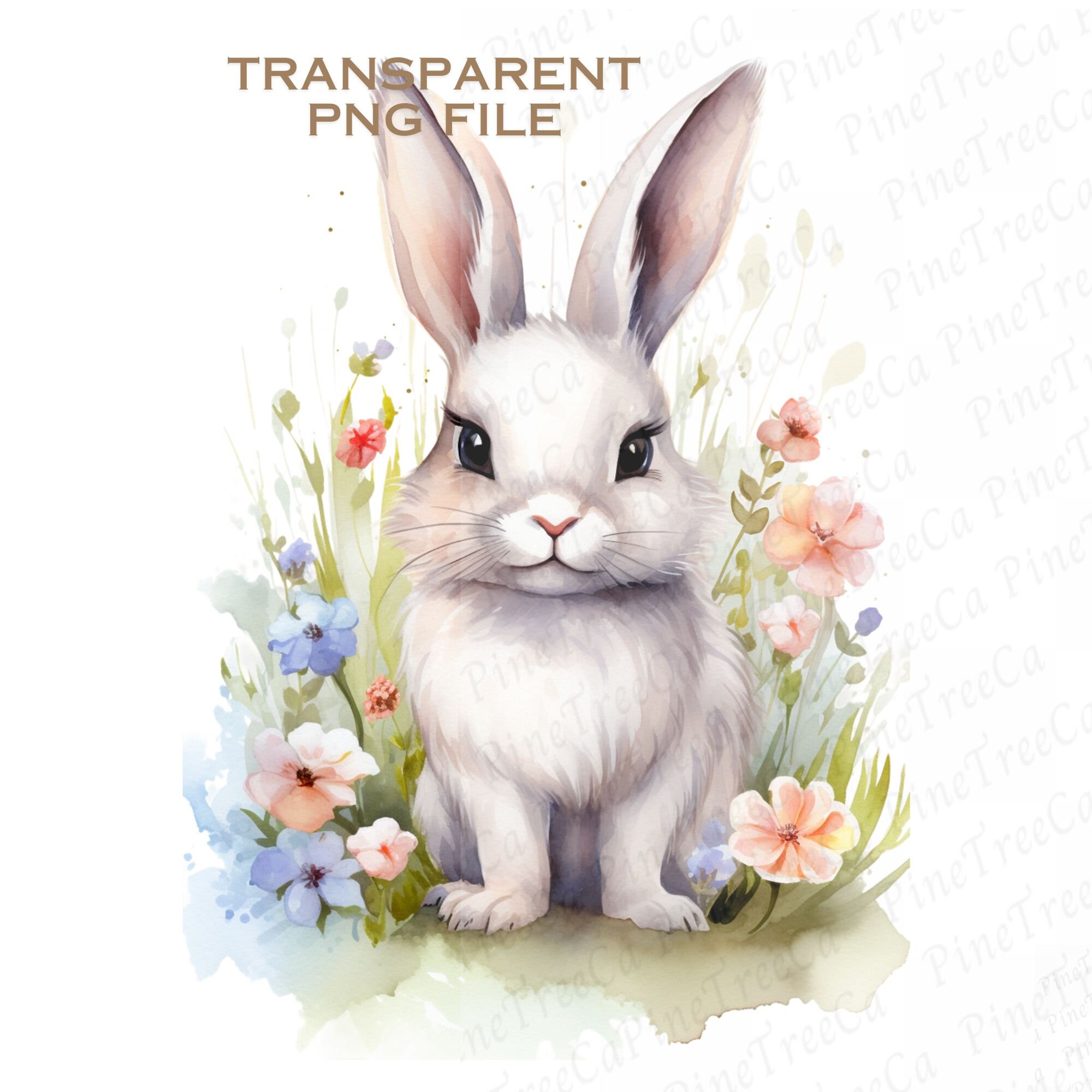 Watercolor Easter Clipart 4 Transparent Pngs Files and 1 JPG File ...