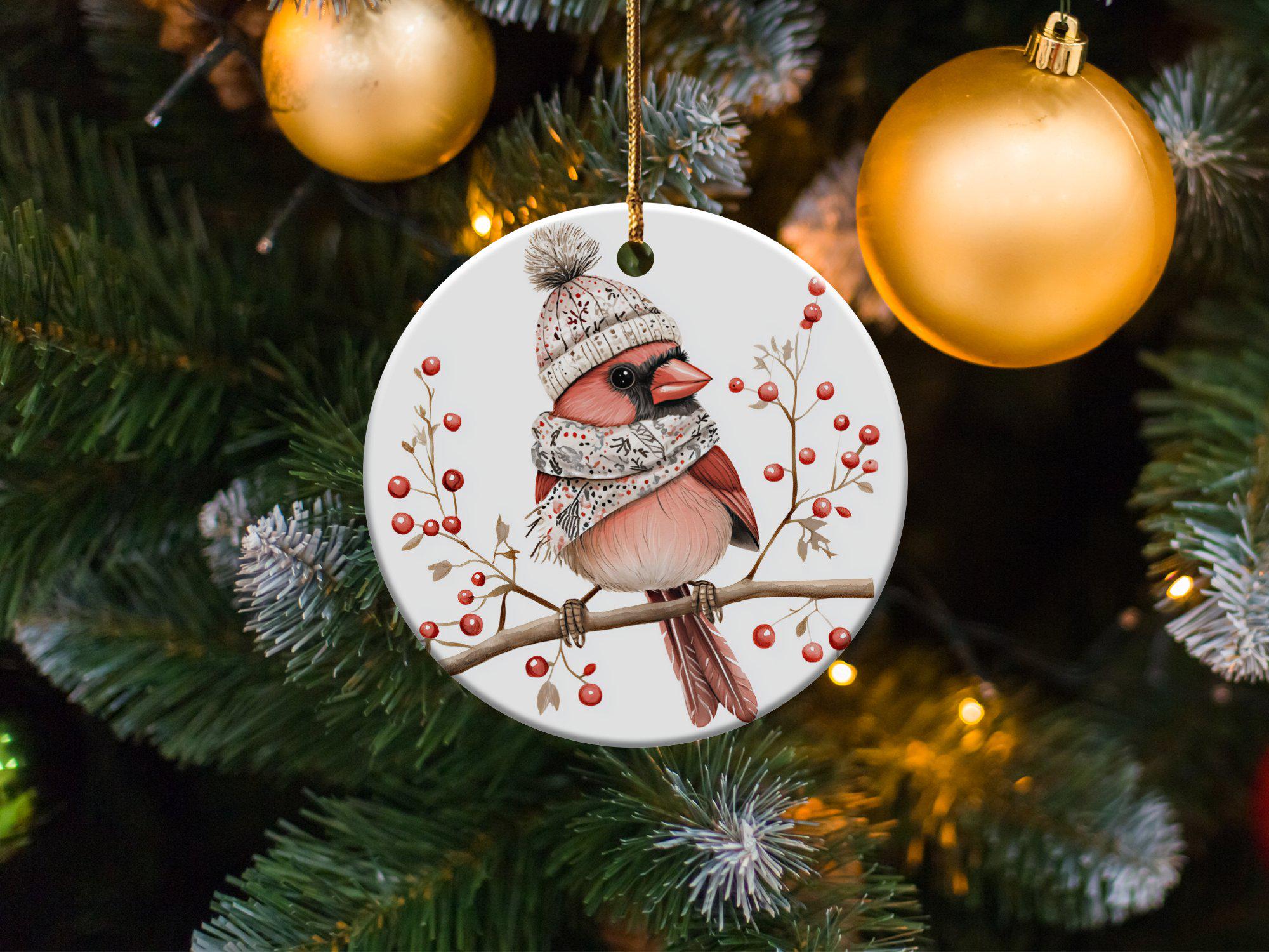 Winter Botanicals PNG , Cardinal Bird PNG - Botanical Christmas ...