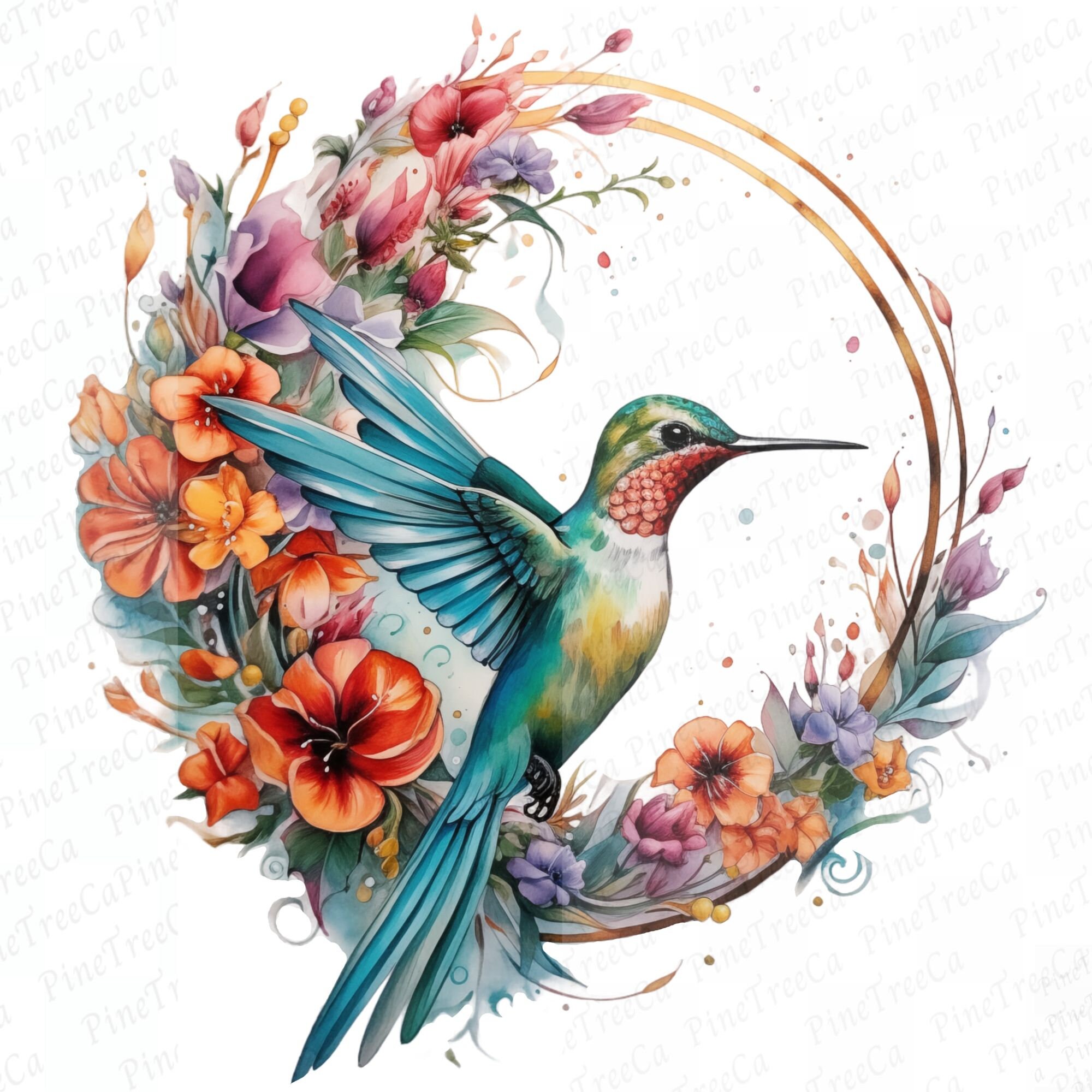 Watercolor Hummingbird 2 Transparent PNG and 2 JPG Files Clipart ...