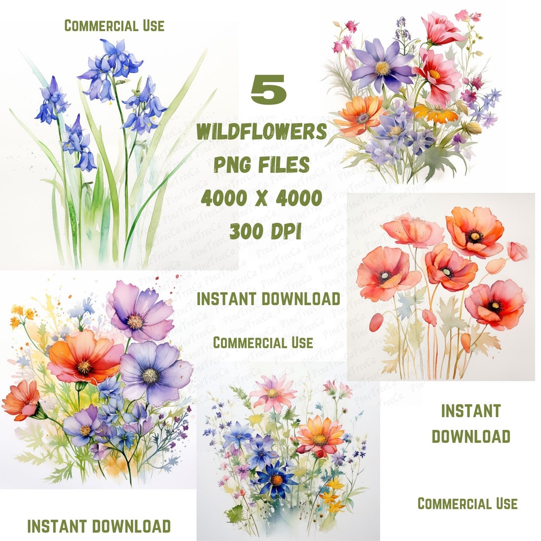Watercolor Wild Flowers Clipart, 5 PNG , 4000 X 4000px, DPI300 ...
