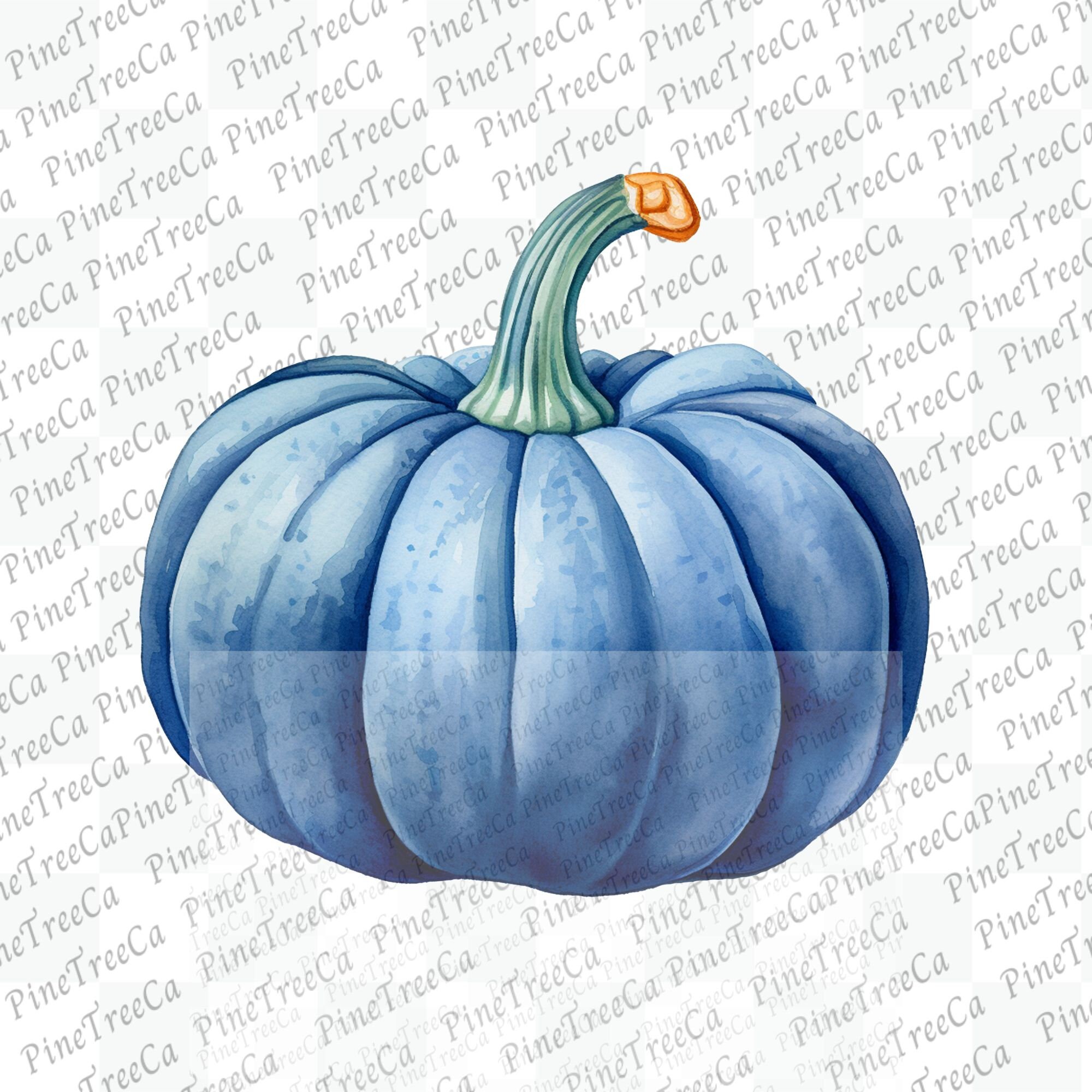 Black Pumpkin Clip Art PNG Set,blue Pumpkin Png,polka Dot Pumpkin Png ...