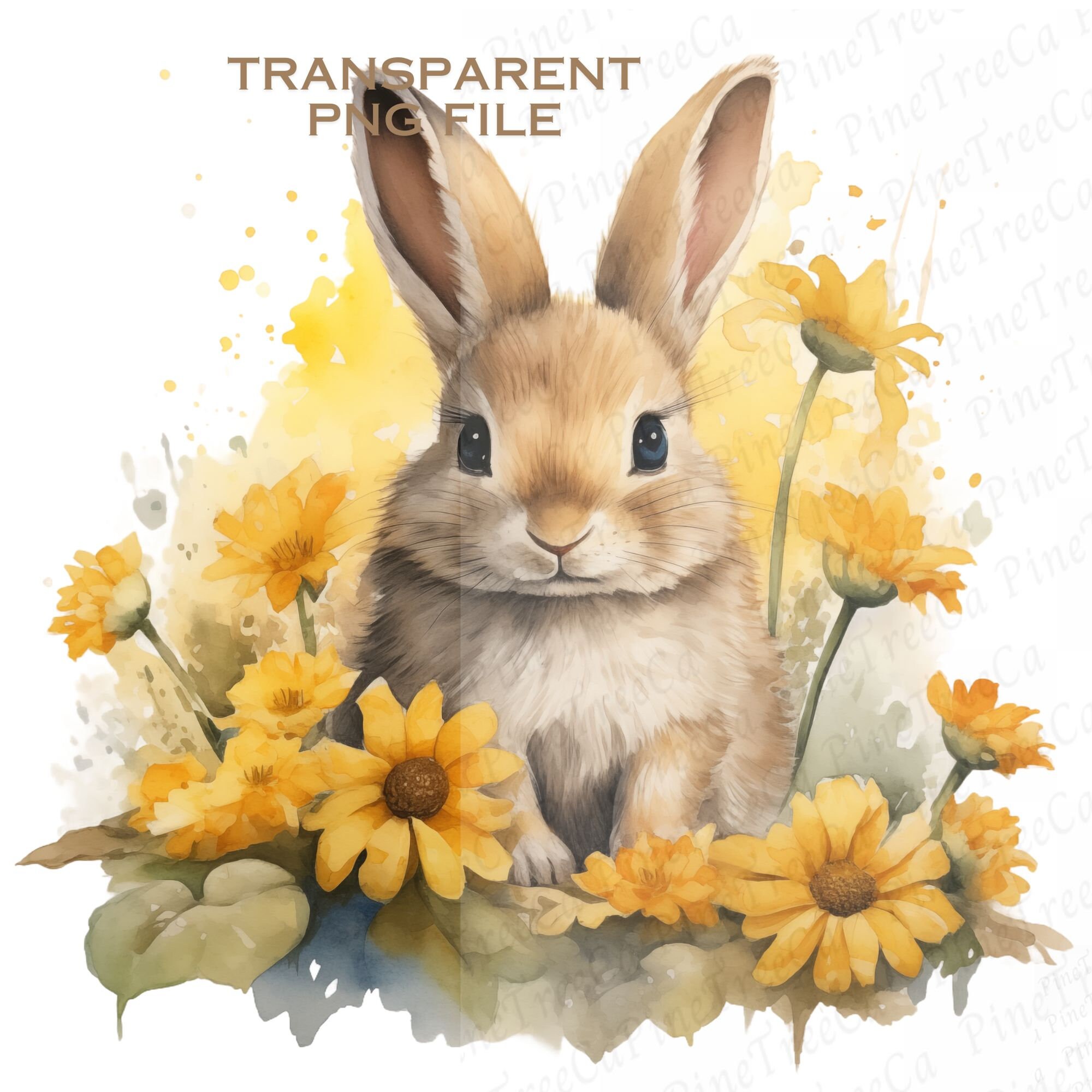 Watercolor Easter Clipart 4 Transparent Pngs Files and 1 JPG File ...