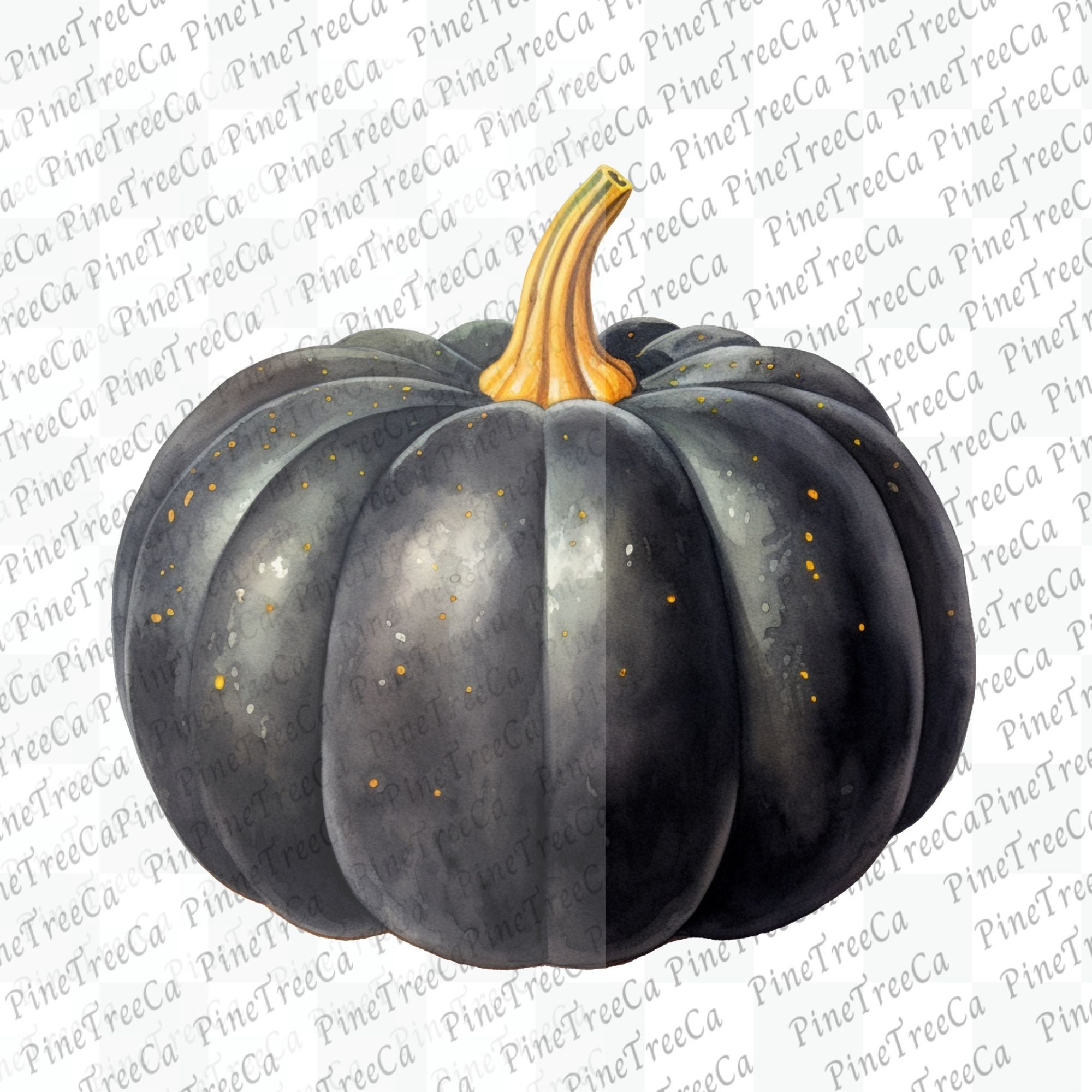 Black Pumpkin Clip Art PNG Set,blue Pumpkin Png,polka Dot Pumpkin Png ...