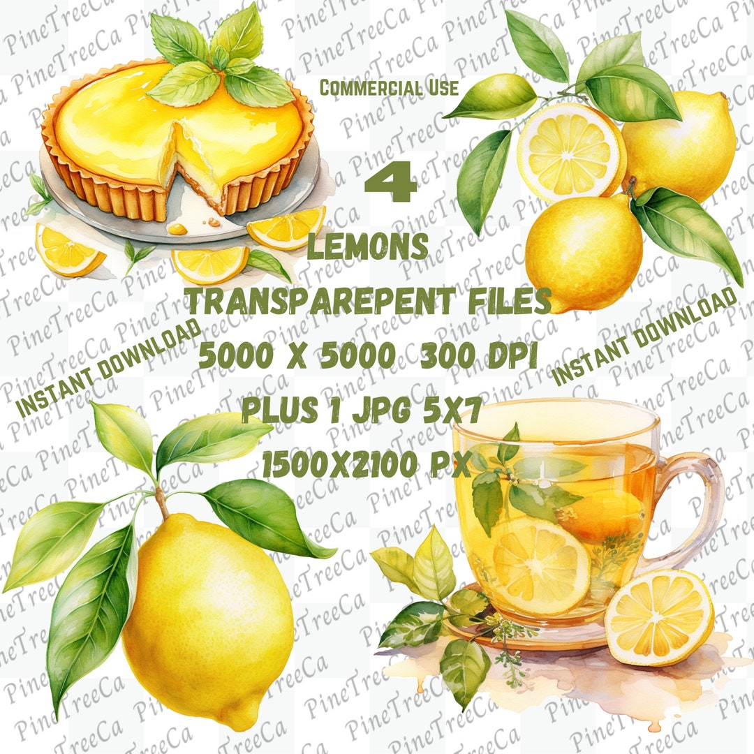 Watercolor Lemon Clipart Set Digital Citrus Graphics / Lemons, Lemon ...