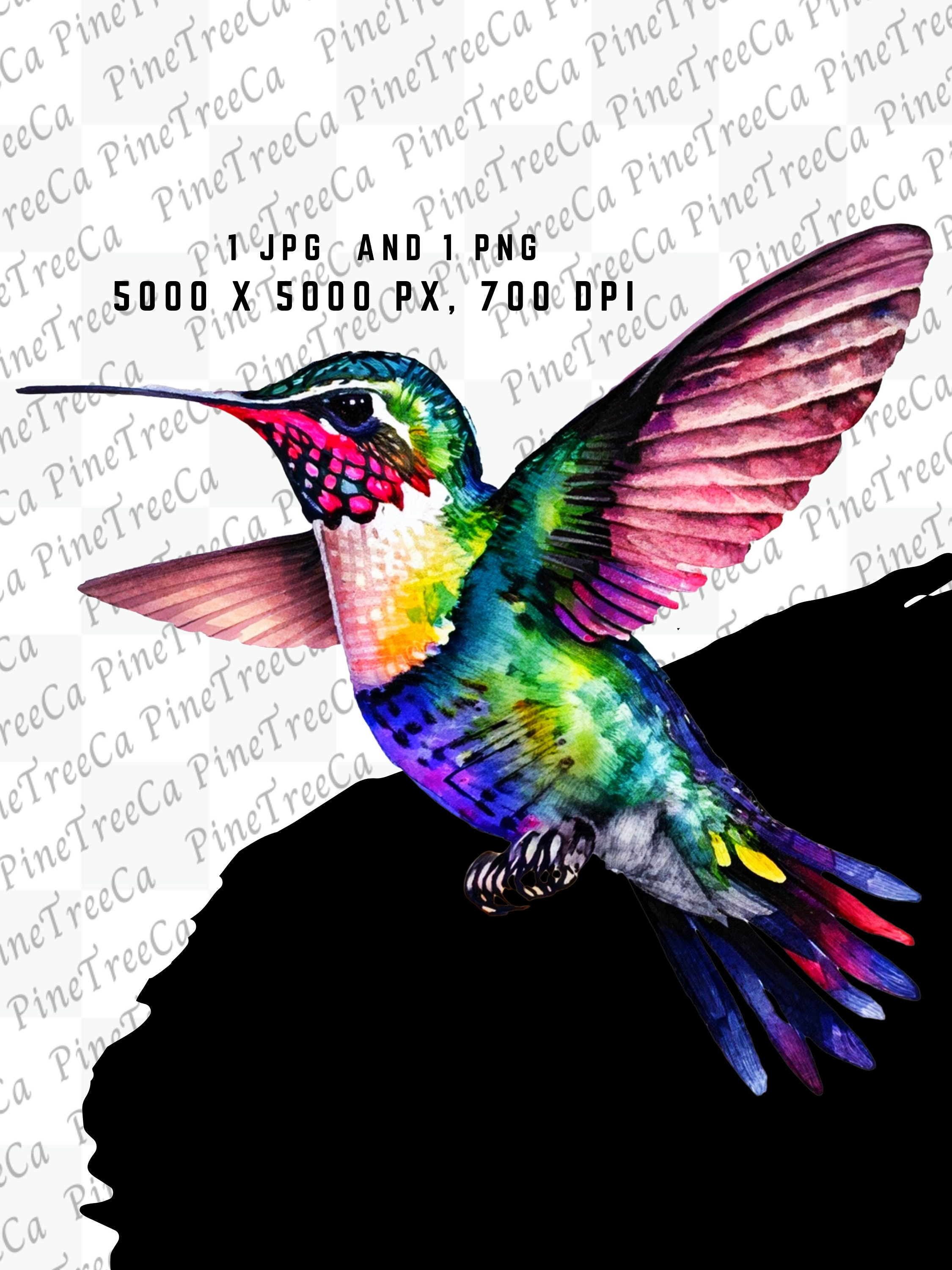Watercolor Hummingbird PNG and JPG Files Clipart Instant Download for ...