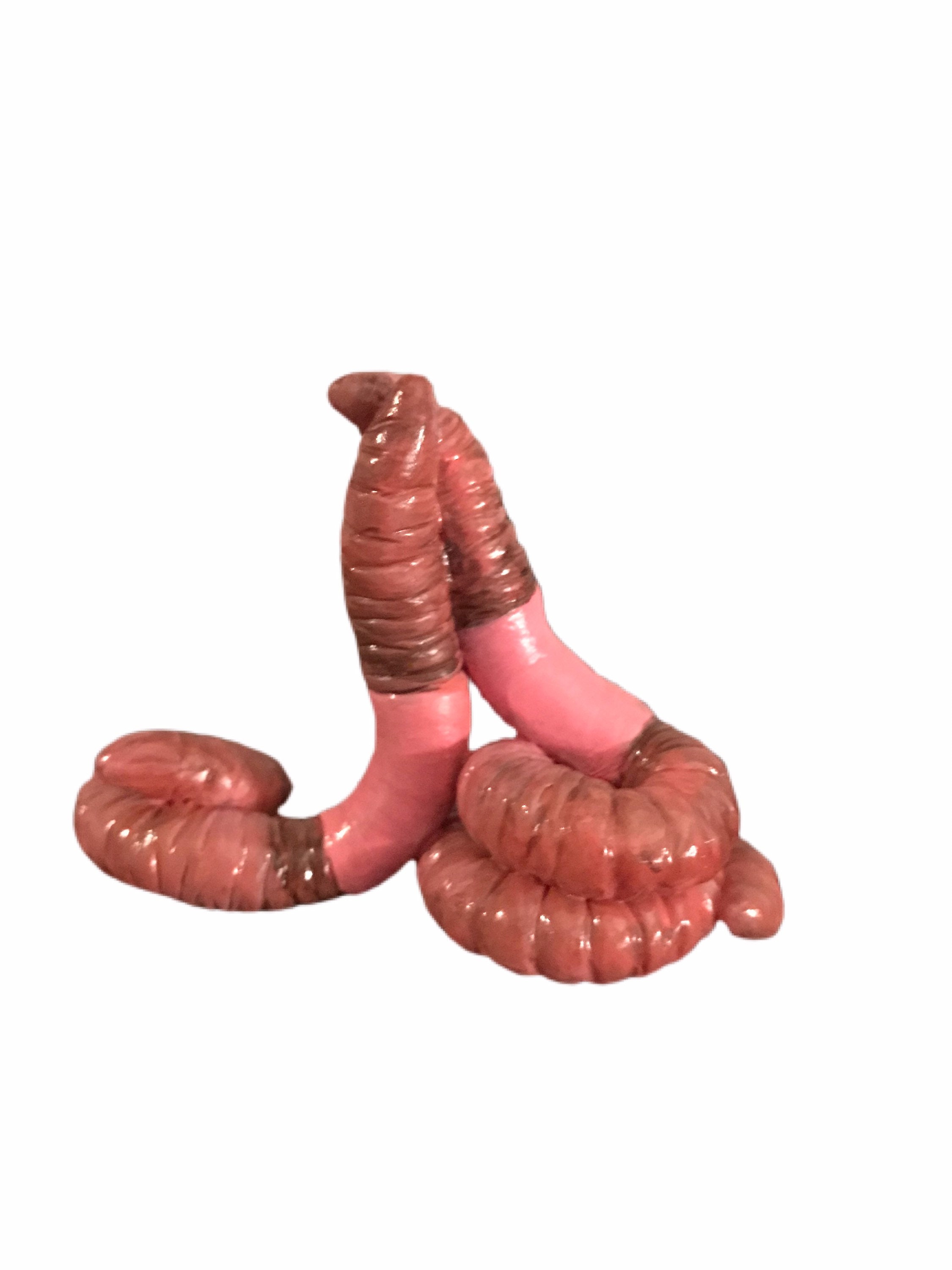 Clay Worm Sculpture Worms Hugging Pot Sitters Plant Lovers - Etsy