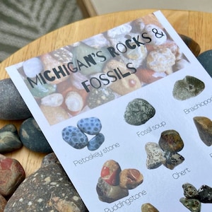 Michigans Rocks and Fossil Identification Card / 4x9 Photo of Rocks & Minerals / Rock Collection ...