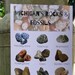 Michigans Rocks and Fossil Identification Card / 4x9 Photo of Rocks ...