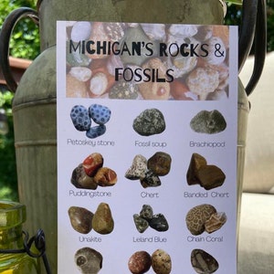 Michigans Rocks and Fossil Identification Card / 4x9 Photo of Rocks & Minerals / Rock Collection ...