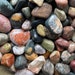 Michigans Rocks and Fossil Identification Card / 4x9 Photo of Rocks ...