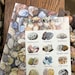 Michigan’s Rocks and Fossil Identification Card, 3.5x8.5 Photo of Rocks ...