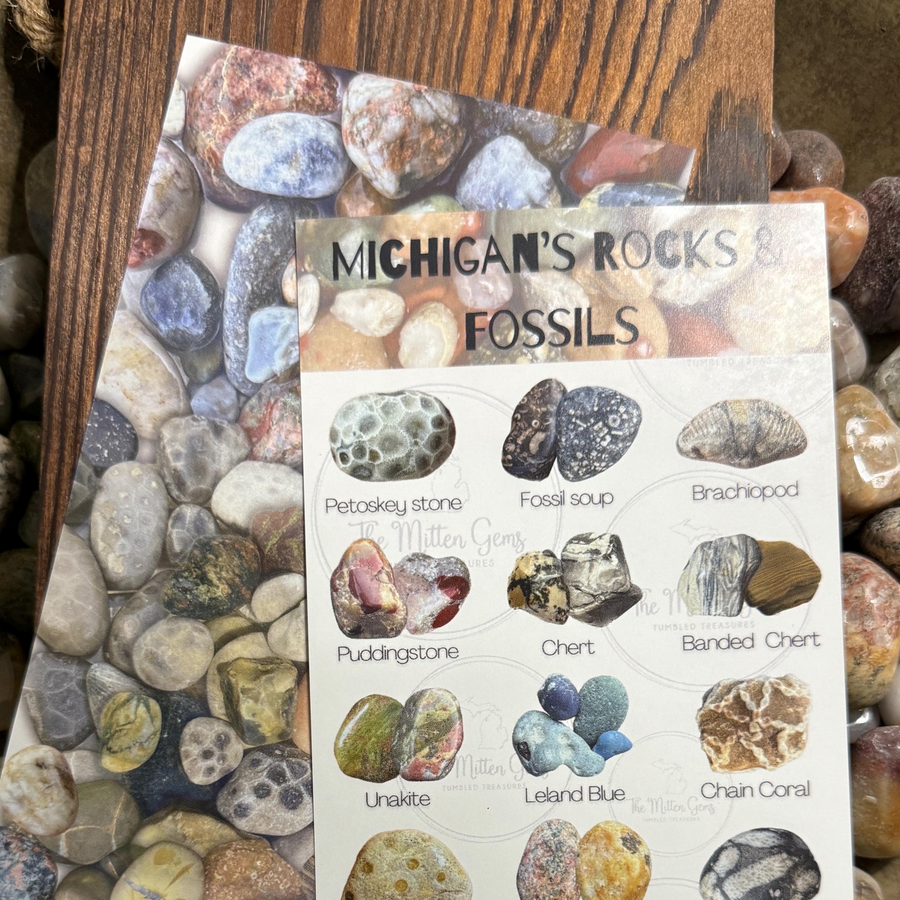Michigan’s Rocks and Fossil Identification Card / 4x9 Photo of Rocks & Minerals / Rock ...