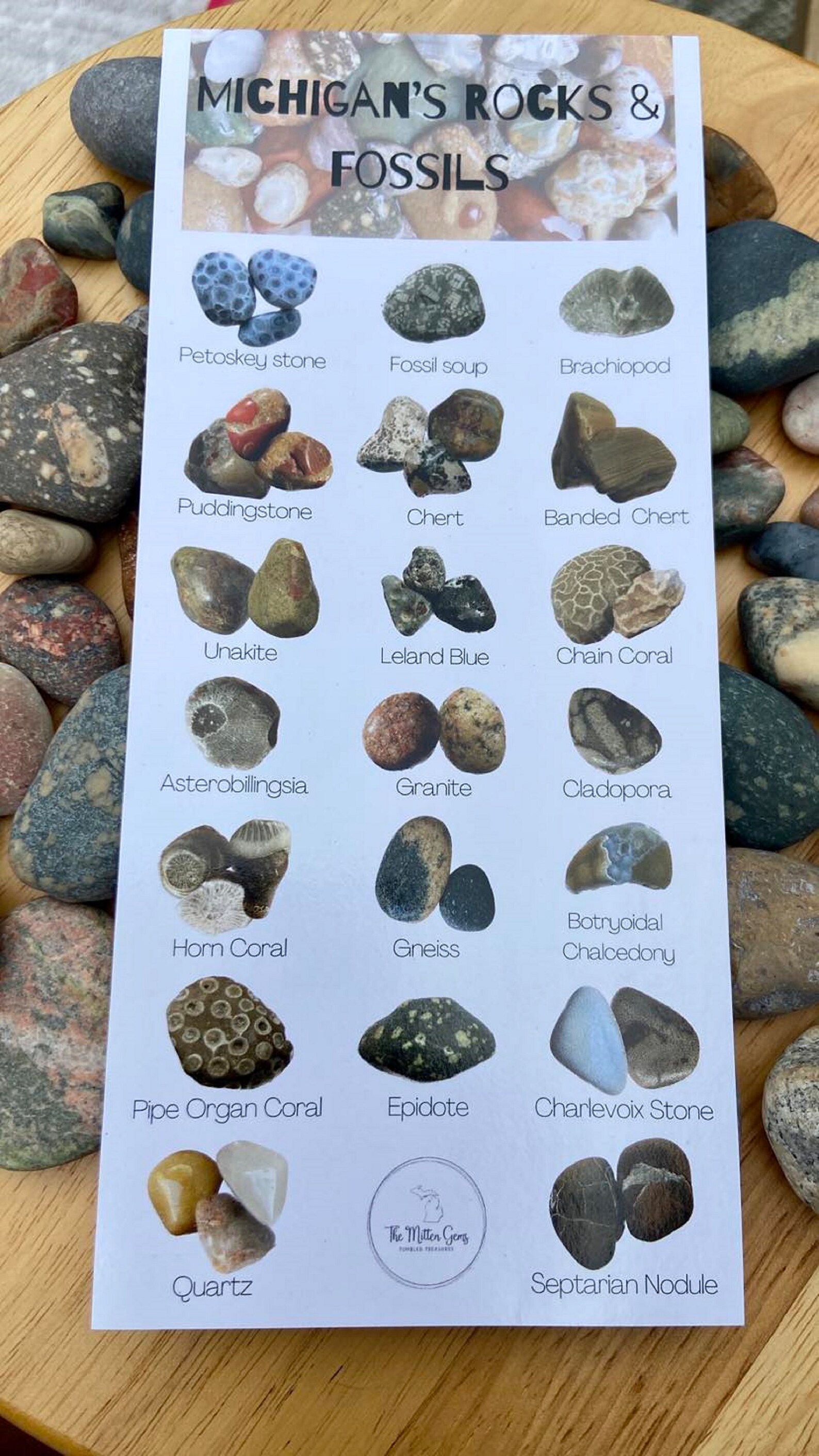 Michigans Rocks and Fossil Identification Card / 4x9 Photo of Rocks ...