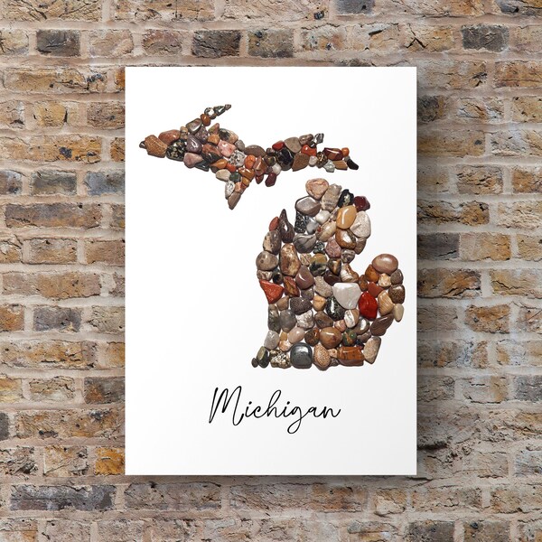 Michigans Fossil Identification Card / 5.5x7 Photo Fossil ID / Polished ...