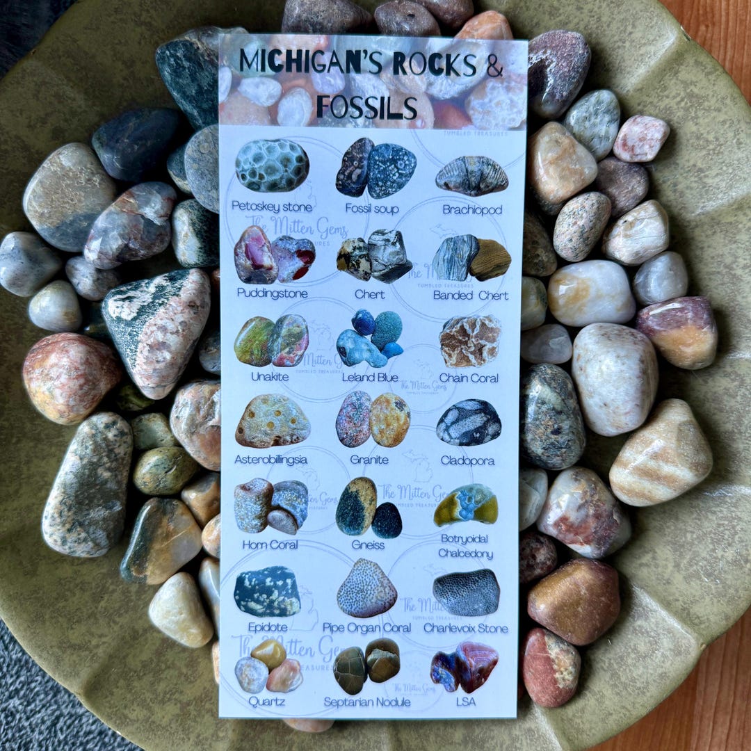 Michigans Rocks and Fossil Identification Card / 4x9 Photo of Rocks ...