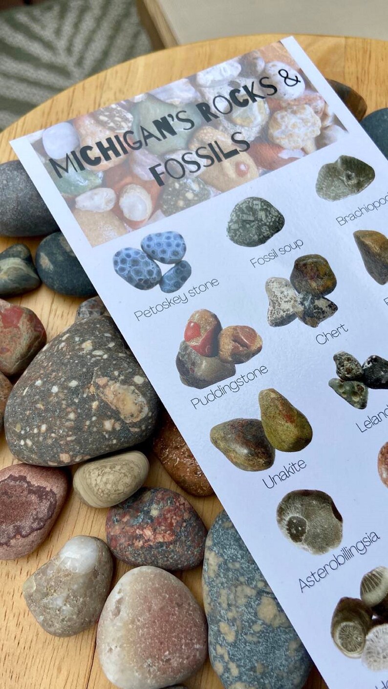 Michigans Rocks and Fossil Identification Card / 4x9 Photo of Rocks ...