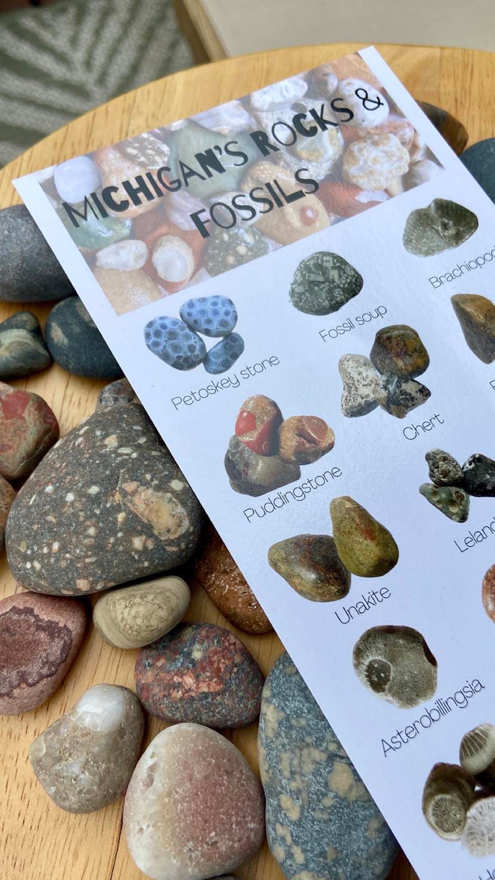 Michigans Rocks and Fossil Identification Card / 4x9 Photo of Rocks ...