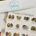 Michigans Fossil Identification Card / 5.5x7 Photo Fossil ID / Polished ...